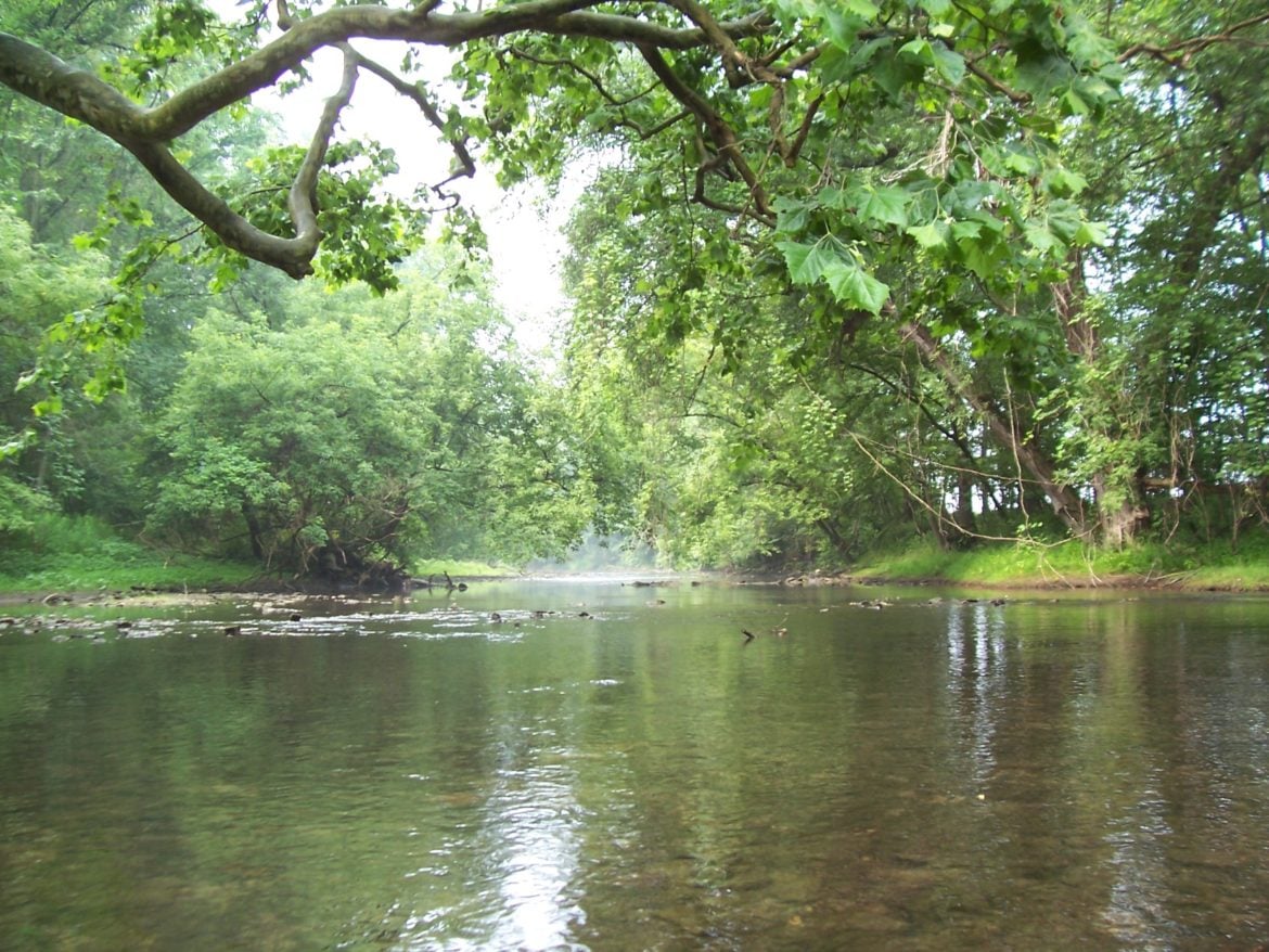 Praise for Where Is the River Called Pishon? - David Ruekberg, Writer